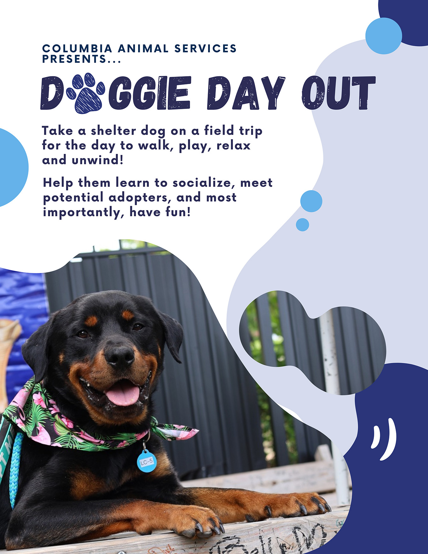 Volunteer - City of Columbia - Animal Services